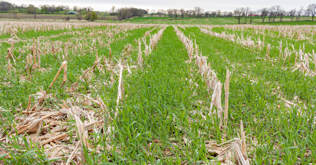 What is Additionality in Carbon Farming?