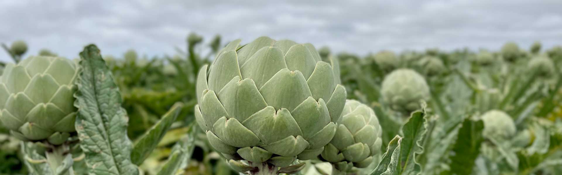 Ag Biologicals - Locus AG