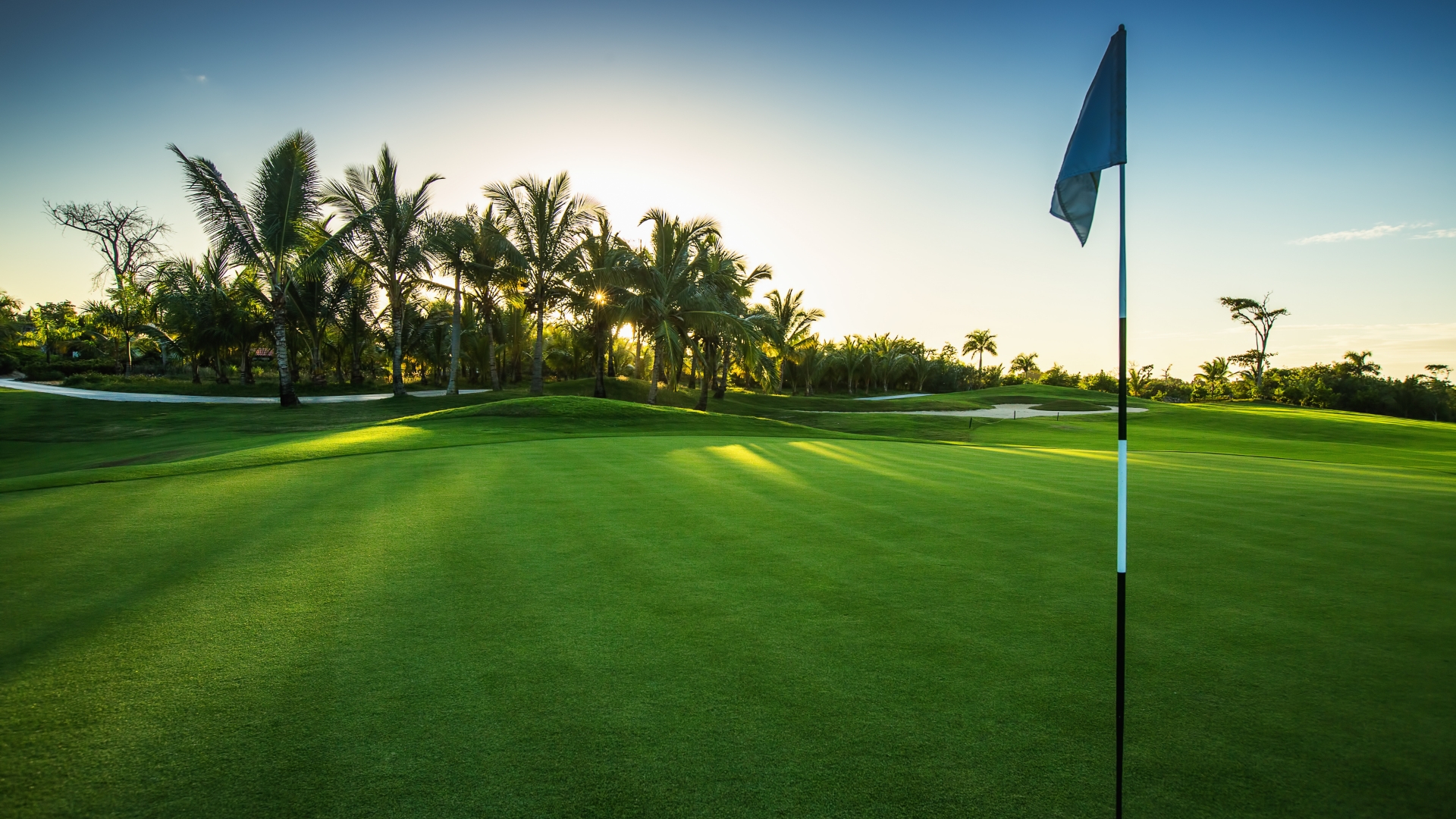 Locus AG | Agricultural Biologicals | Carbon Farming